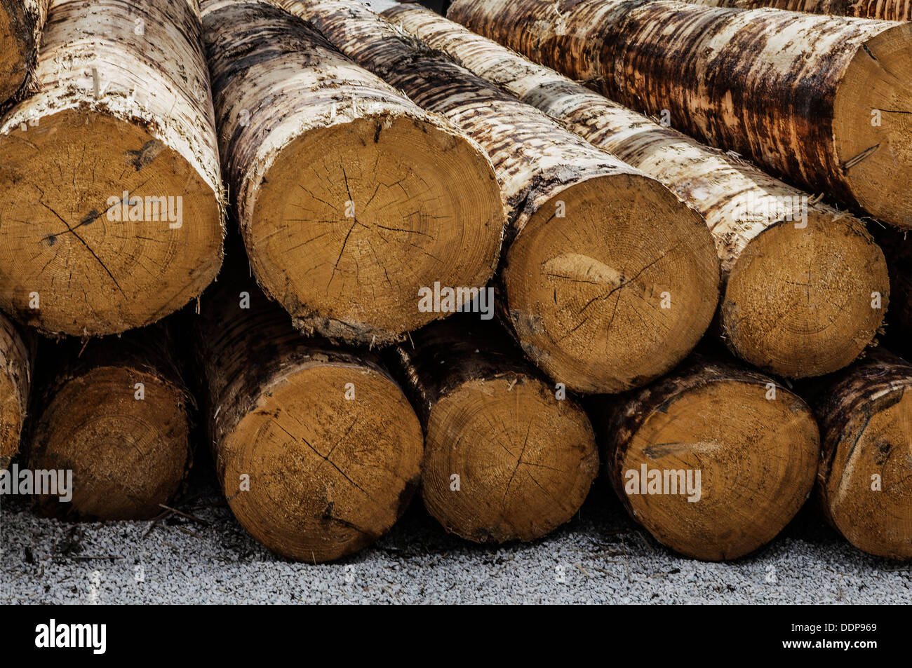 Stack of logs Stock Photo - Alamy