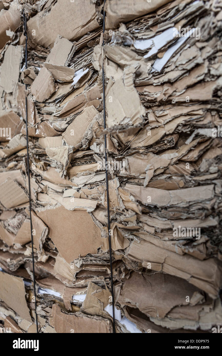Paper recycling hi-res stock photography and images - Alamy
