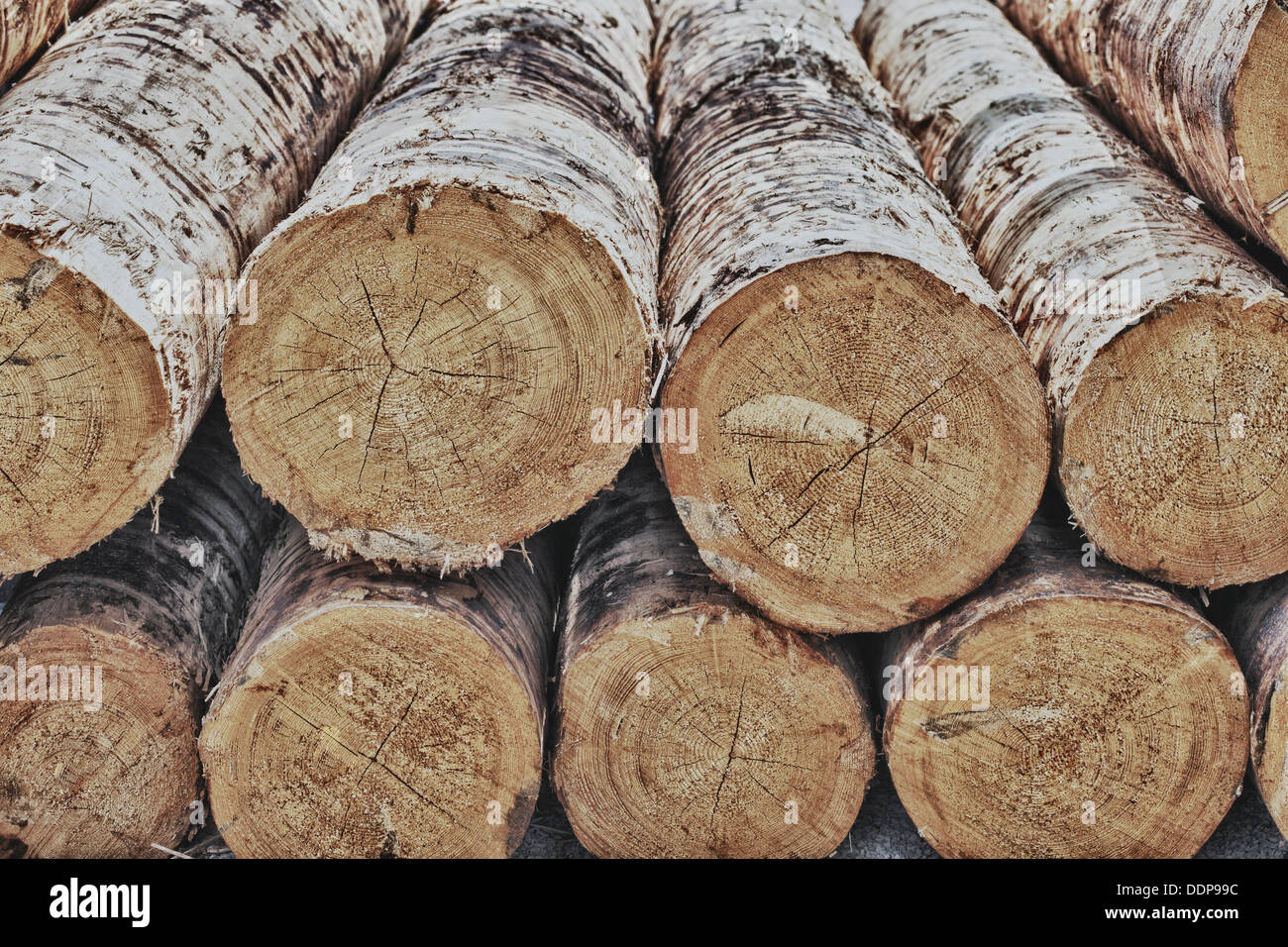 How to stack logs for drying hi-res stock photography and images - Alamy