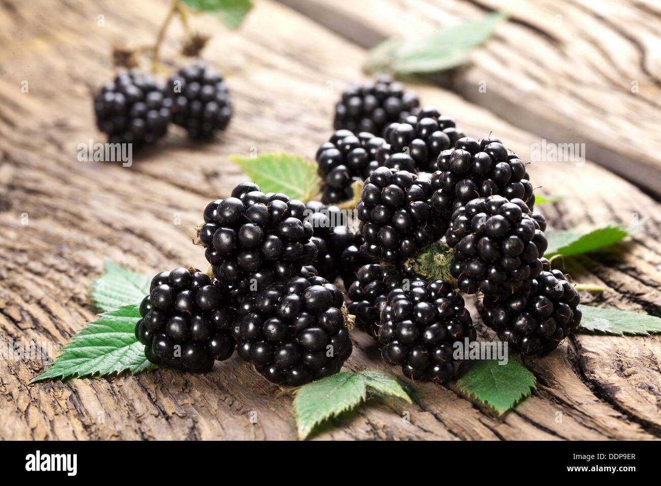 Blackberries studio hi-res stock photography and images - Alamy