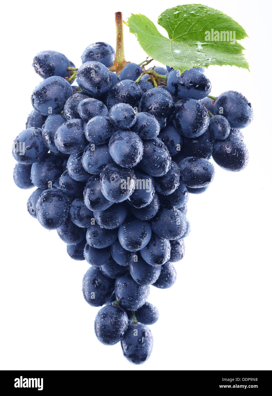 Grapes isolated on white background Stock Photo - Alamy