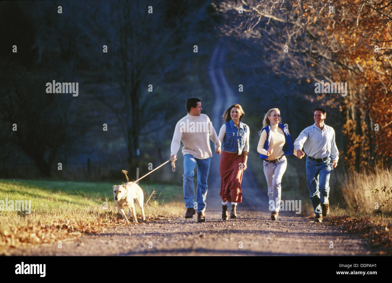 Walking dog country road hi-res stock photography and images - Alamy