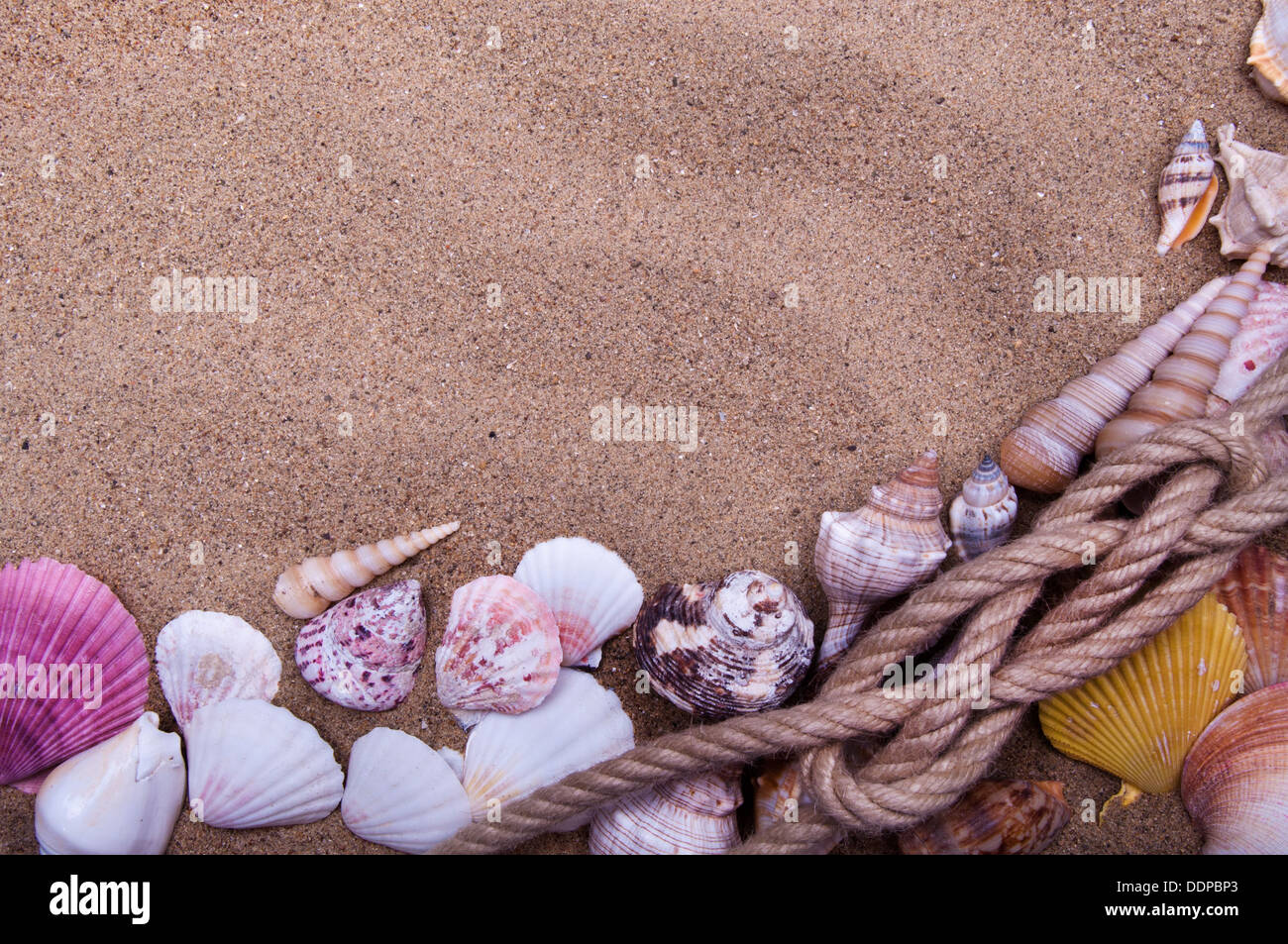 sea shells and rope with sand as background Stock Photo - Alamy