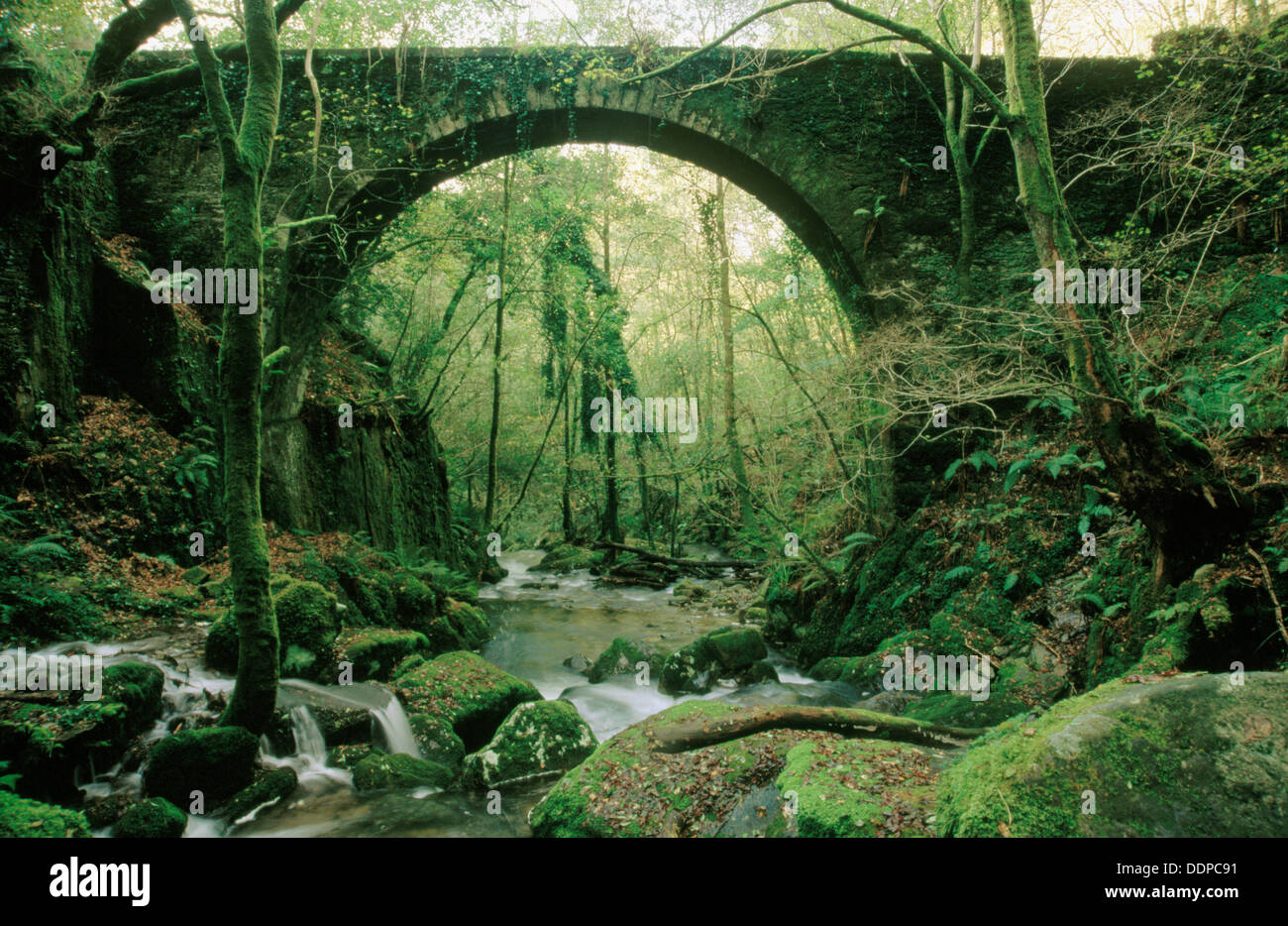 O courel hi-res stock photography and images - Alamy