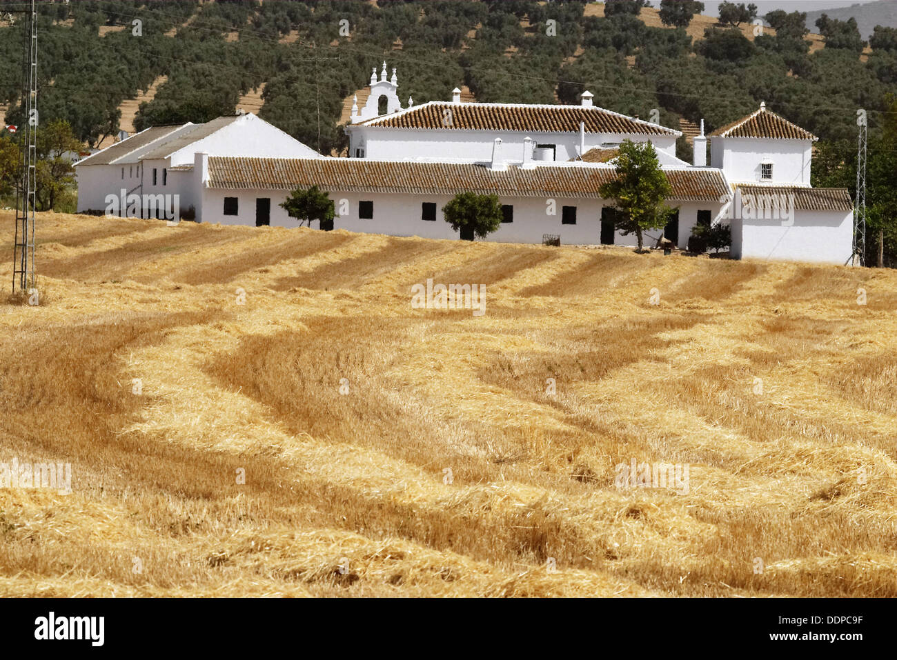Cortijo typical hi-res stock photography and images - Alamy