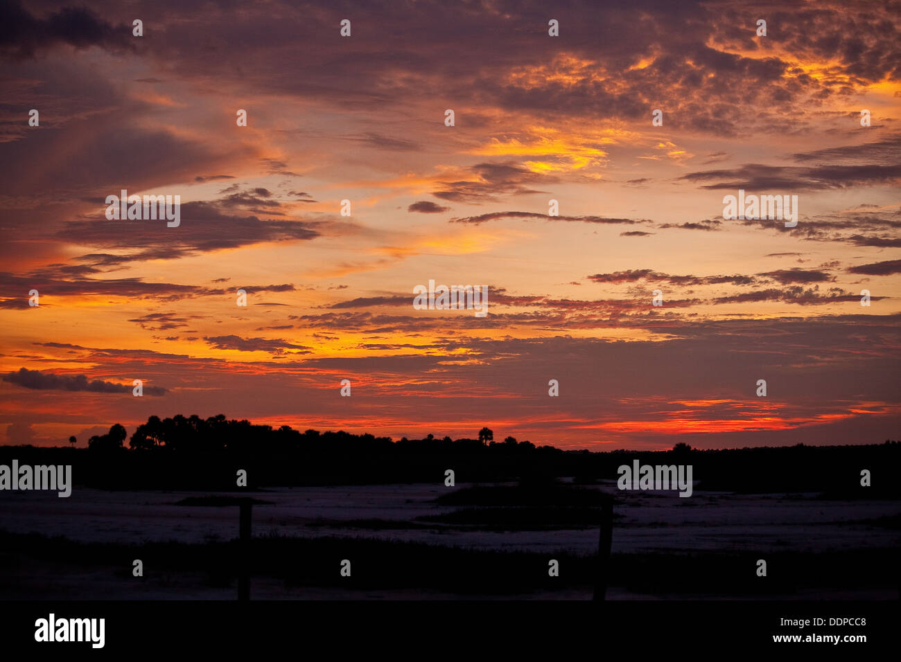 Sunset sky at Salt Lake in Mims, Florida Stock Photo - Alamy