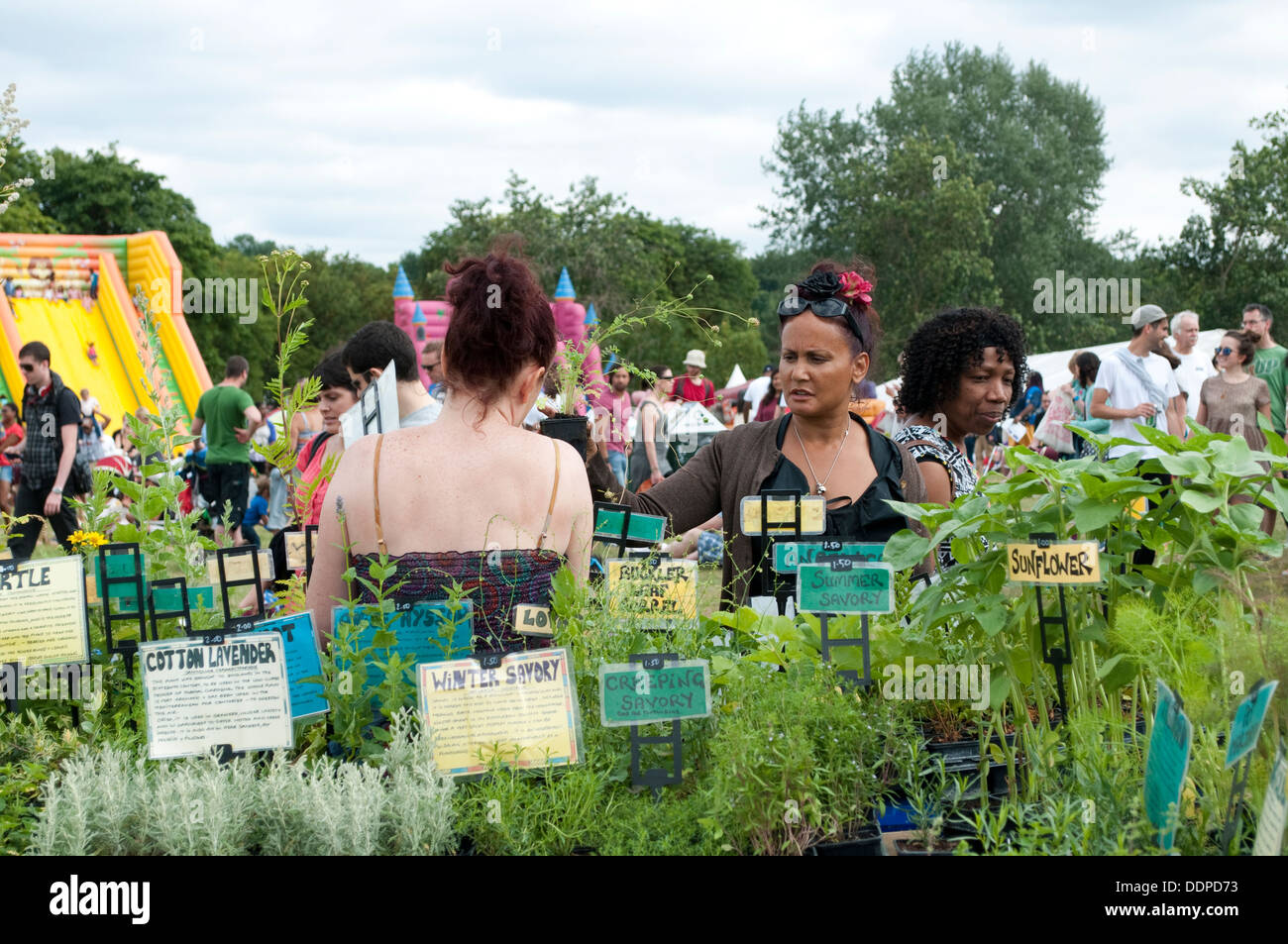 Culinary herbs stall, Lambeth Country Show 2013, Brockwell Park, London ...