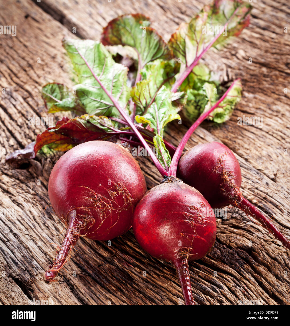Beet root vegetable salad hi-res stock photography and images - Alamy