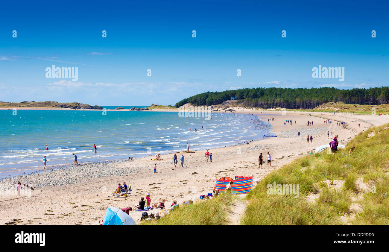 Anglesey marram grass hi-res stock photography and images - Alamy