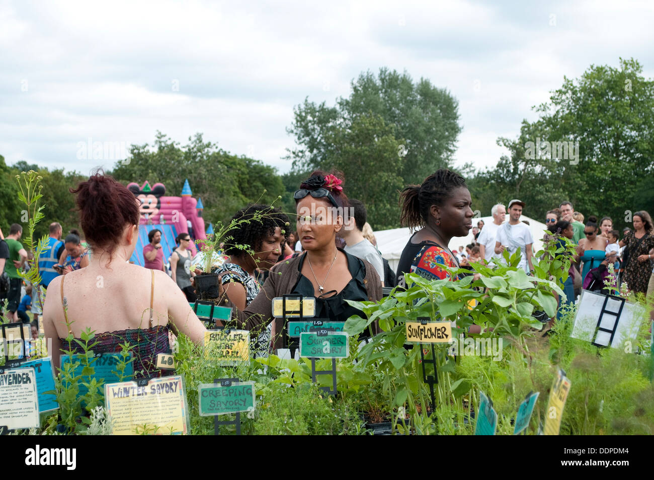 Culinary herbs stall, Lambeth Country Show 2013, Brockwell Park, London ...