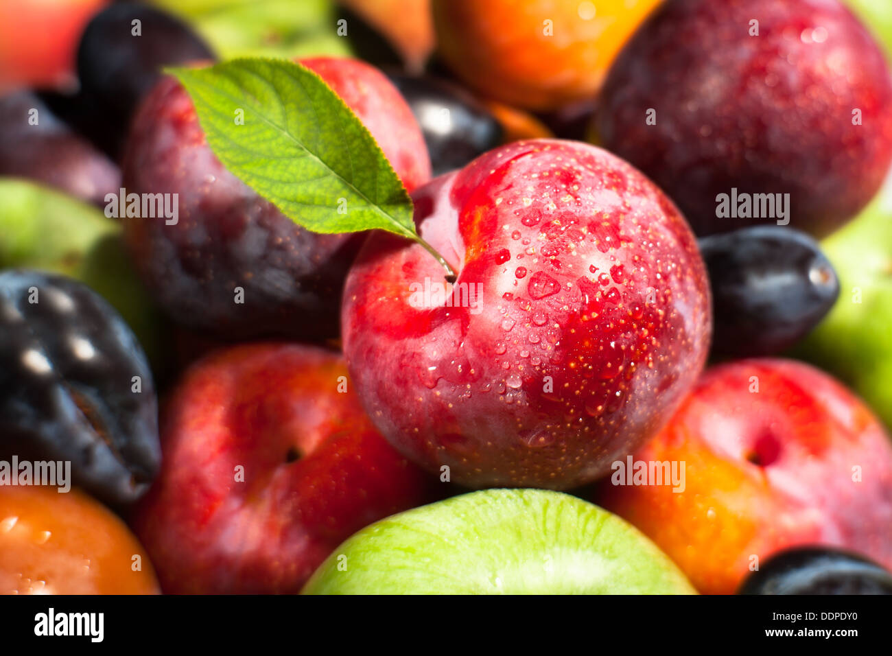 plum fruit mix macro closeup colorful Stock Photo - Alamy