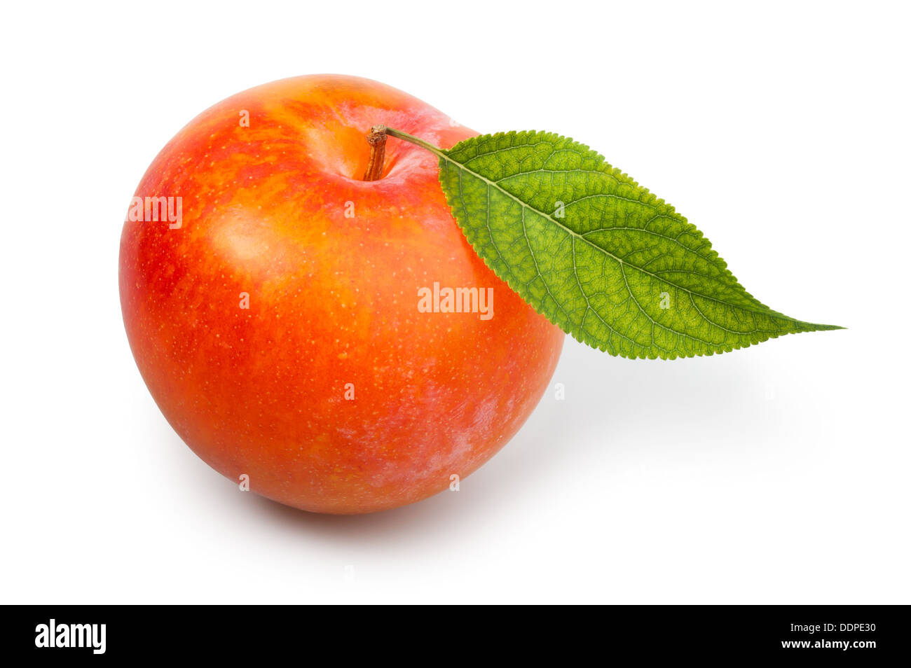 Ripe single plums Cut Out Stock Images & Pictures - Alamy