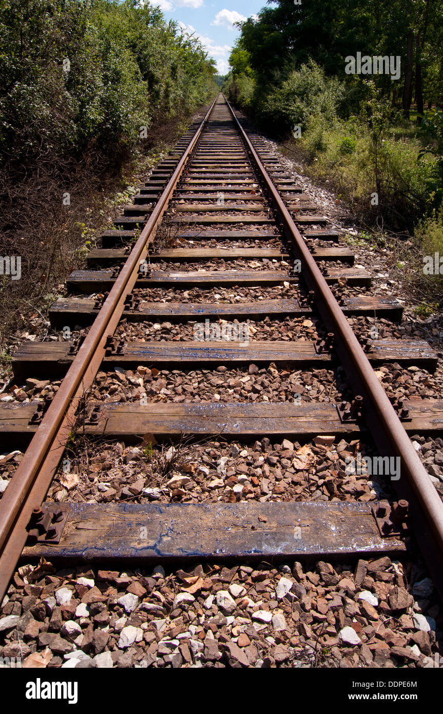 Train tracks going into the horizon Stock Photo - Alamy