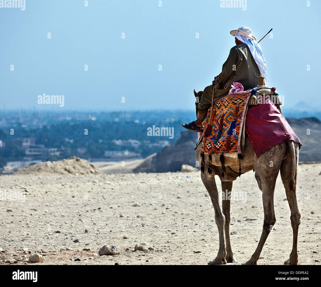Camel outside hi-res stock photography and images - Alamy