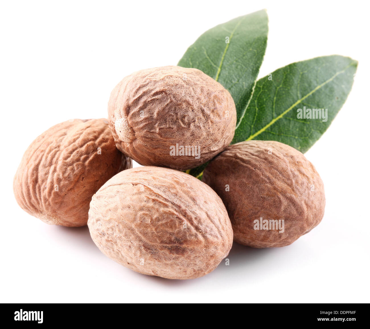 Nutmeg with leaves on a white background Stock Photo - Alamy