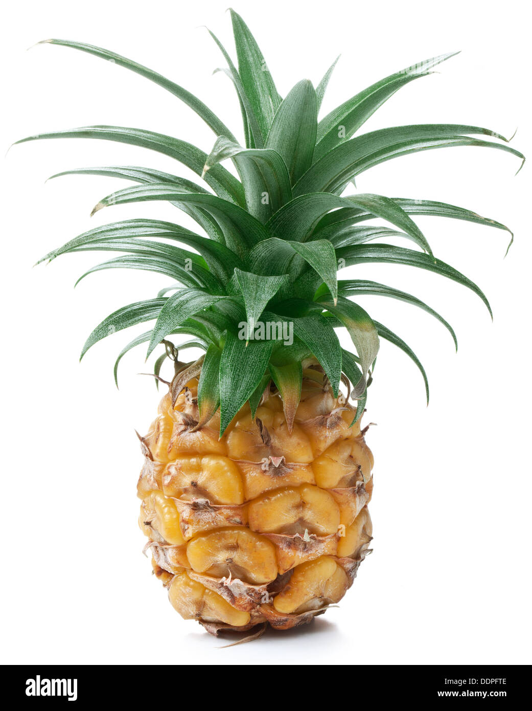 White pineapple hi-res stock photography and images - Alamy