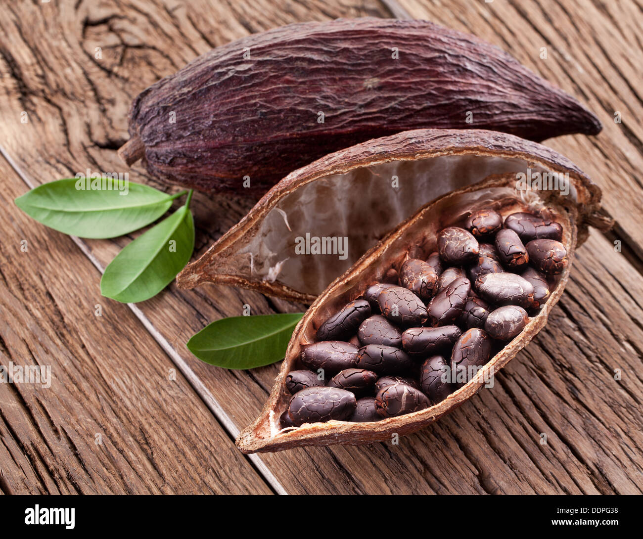Open cocoa bean hi-res stock photography and images - Alamy