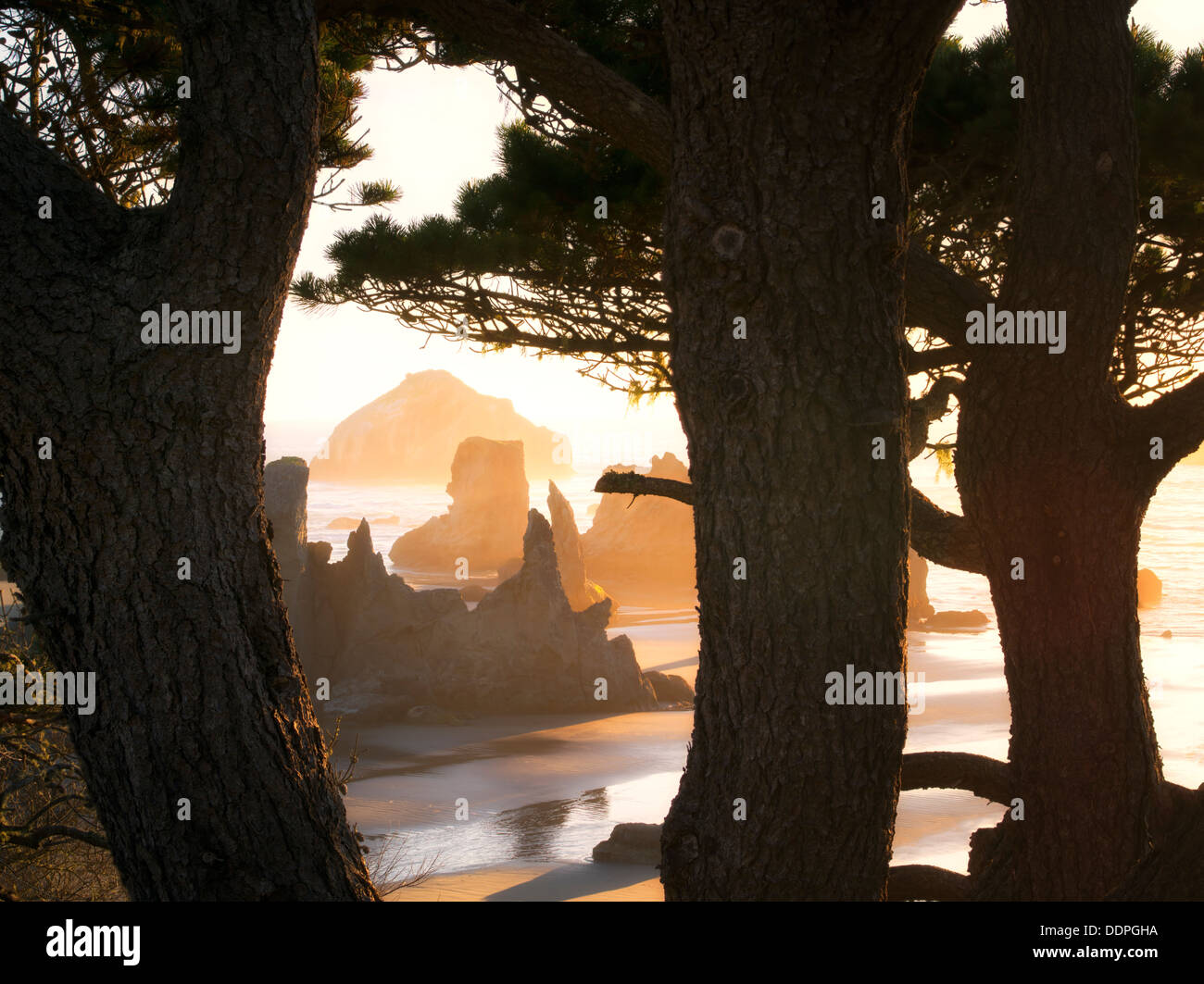 Oregon beach rocks hi-res stock photography and images - Alamy