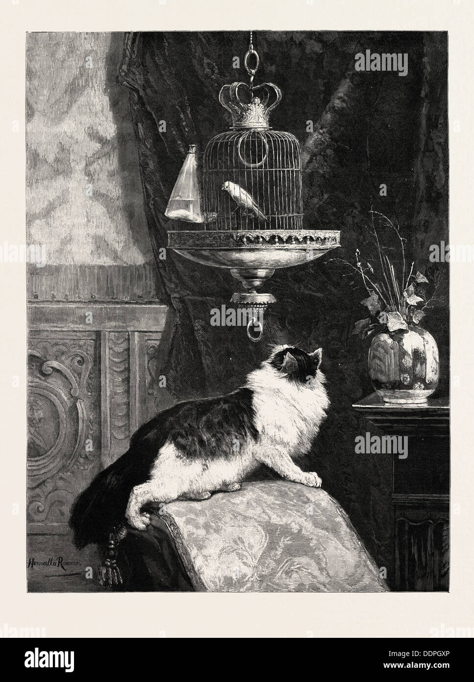 A LONGING LOOK, PICTURE BY HENRIETTE RONNER, engraving 1890, engraved ...