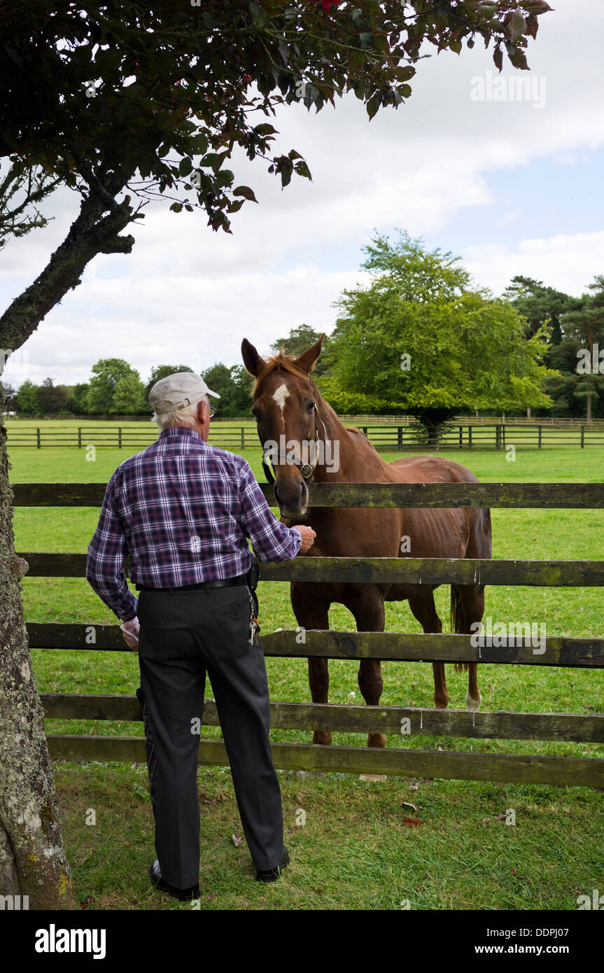 Irish National Stud in Kildare, Ireland Stock Photo - Alamy