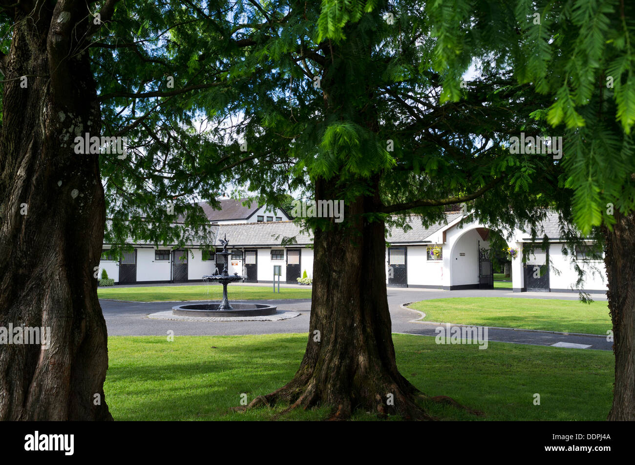 Irish National Stud in Kildare, Ireland Stock Photo - Alamy