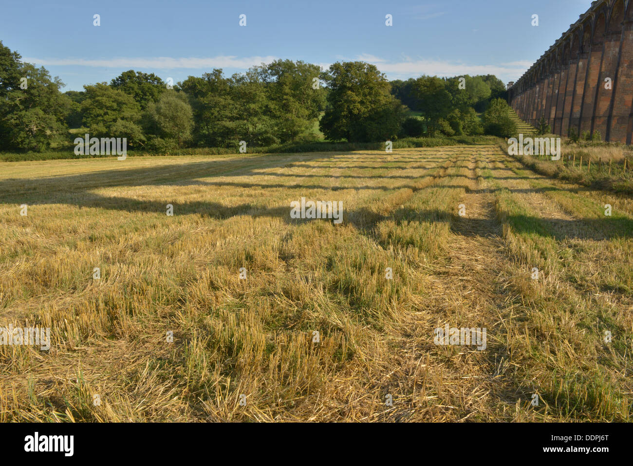 Ouse valley viaduct at Balcombe Stock Photo - Alamy