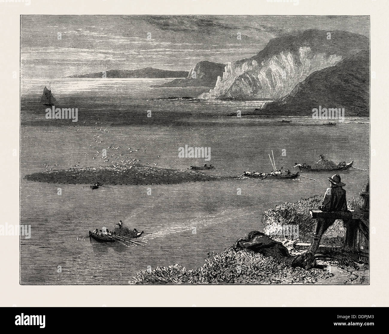 Pilchard Fishing of the Lizard, the south coast, UK, U.K., Britain ...