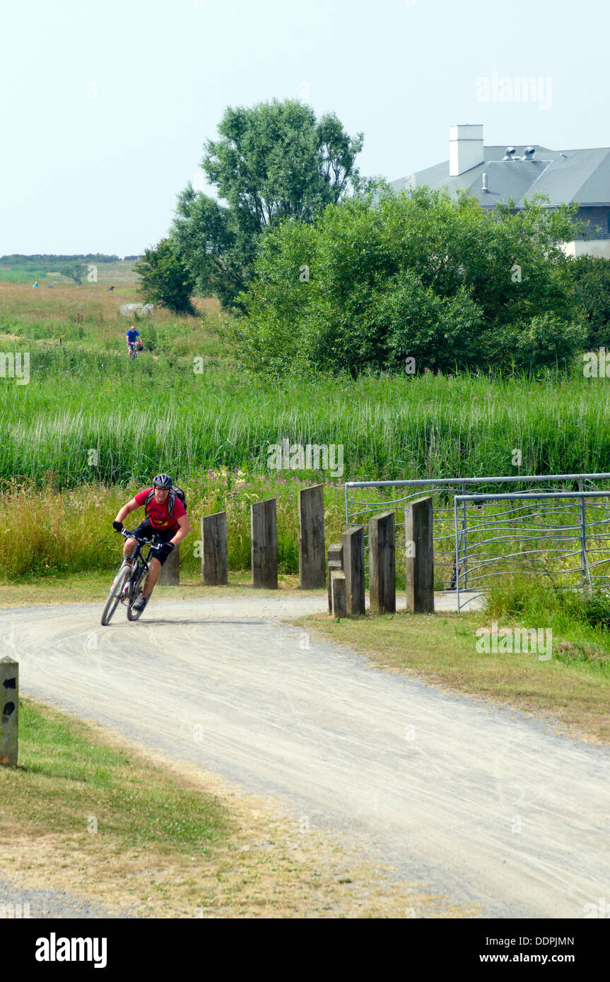 Cycling along Millennium coastal path, Machynys, Llanelli ...