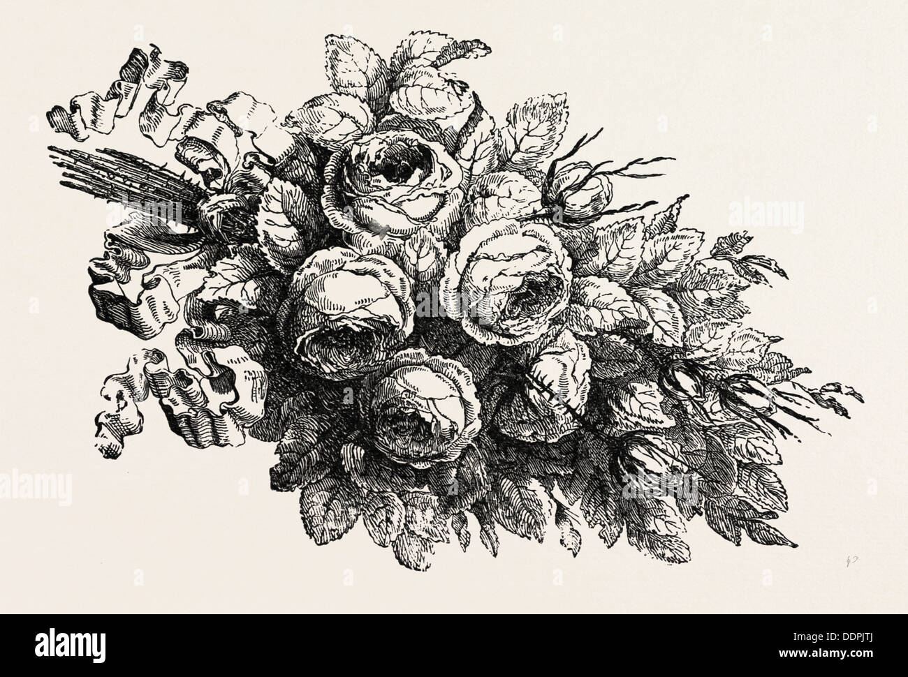 19th century engraving hi-res stock photography and images - Alamy