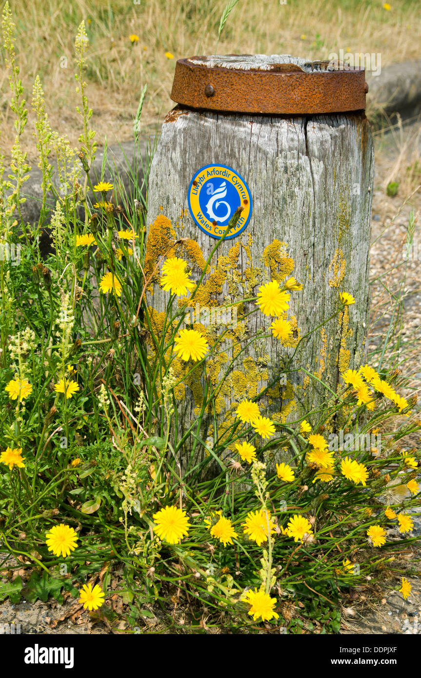 Millennium Coastal Path sign, Llanelli, Carmartenshire, West Wales ...