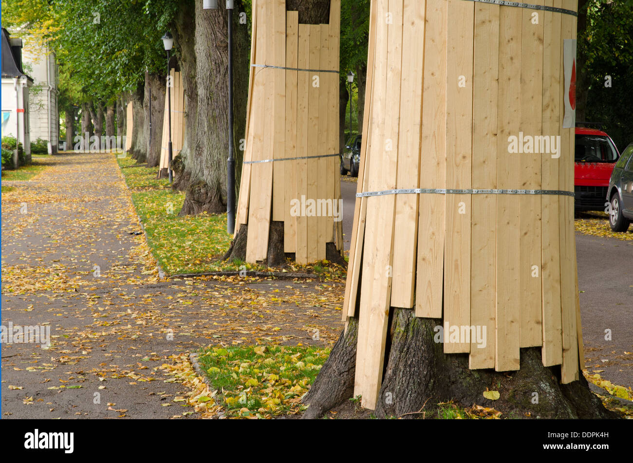 Tree protection cover hi-res stock photography and images - Alamy