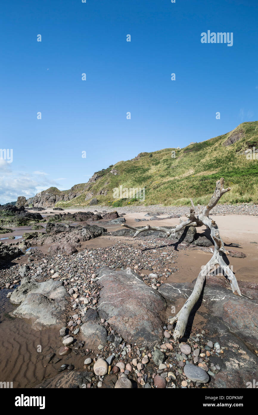 Beach at St Cyrus in Aberdeenshire, Scotland Stock Photo - Alamy