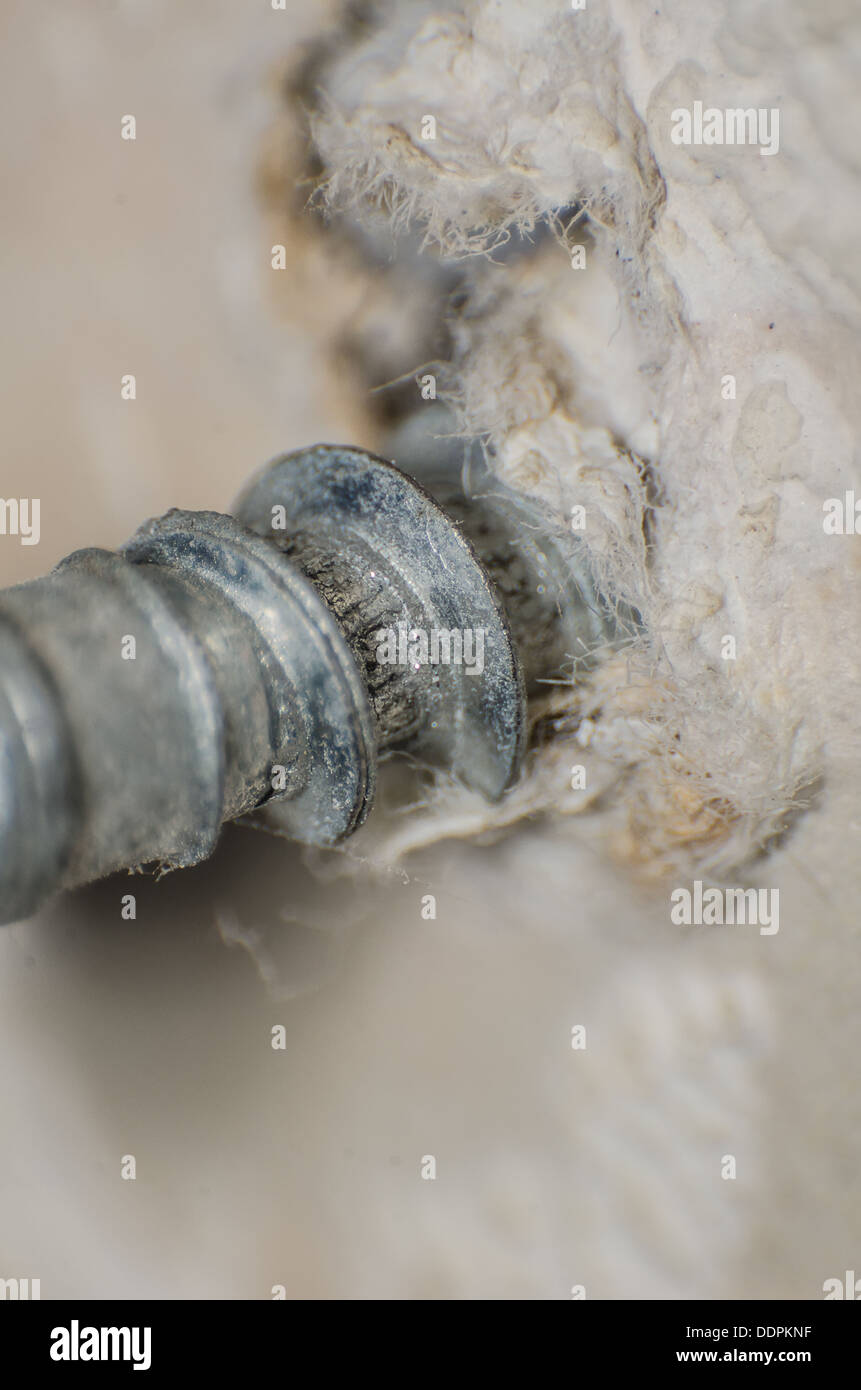 Screw screwed into the wall Stock Photo - Alamy