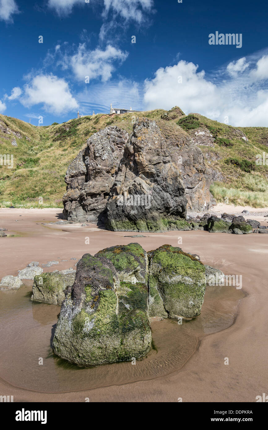Beach at St Cyrus in Aberdeenshire, Scotland Stock Photo - Alamy