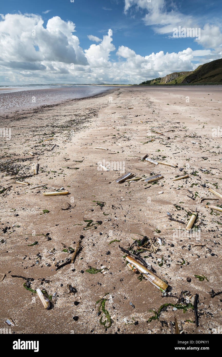 St cyrus beach scotland hi-res stock photography and images - Alamy