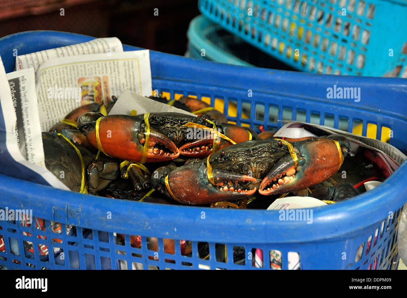 exotic oriental food market stalls bangkok Stock Photo - Alamy