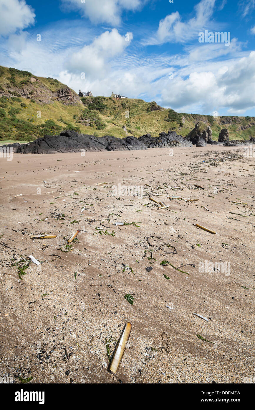 Beach at St Cyrus in Aberdeenshire, Scotland Stock Photo - Alamy