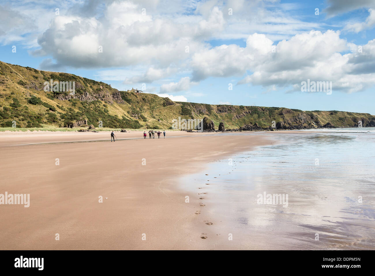 Beach at St Cyrus in Aberdeenshire, Scotland Stock Photo - Alamy