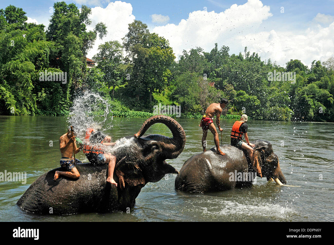 Elephant back ride hi-res stock photography and images - Alamy