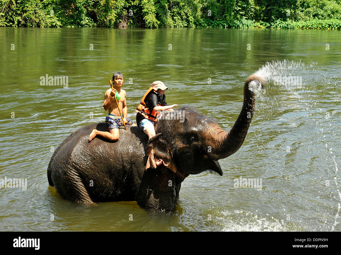 Elephant back ride hi-res stock photography and images - Alamy