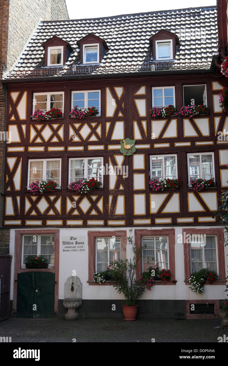 The half-timbered Zur Wilden Gans house in the Kirschgarten (Cherry ...