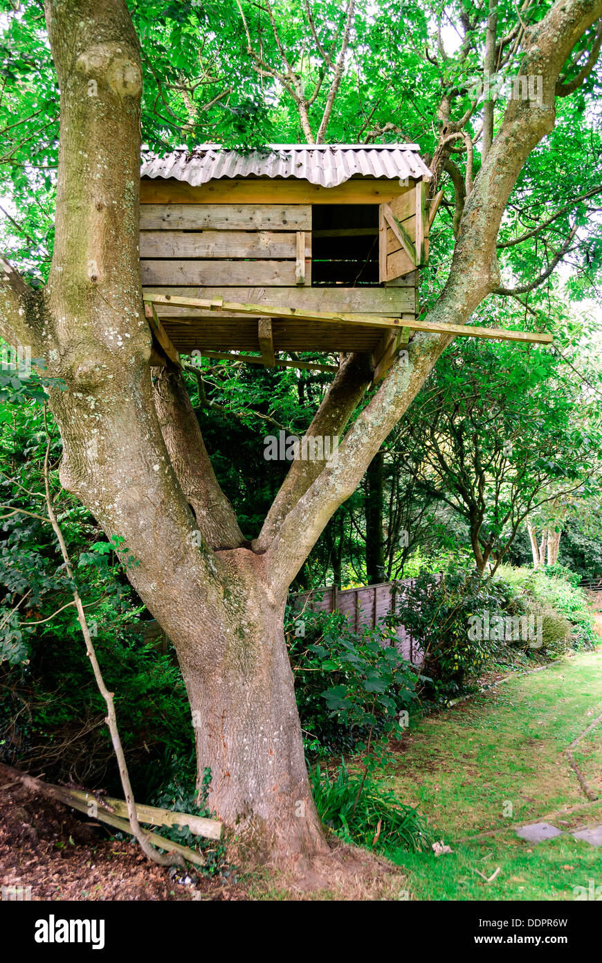 tree house in Tintagel in Cornwall Stock Photo - Alamy