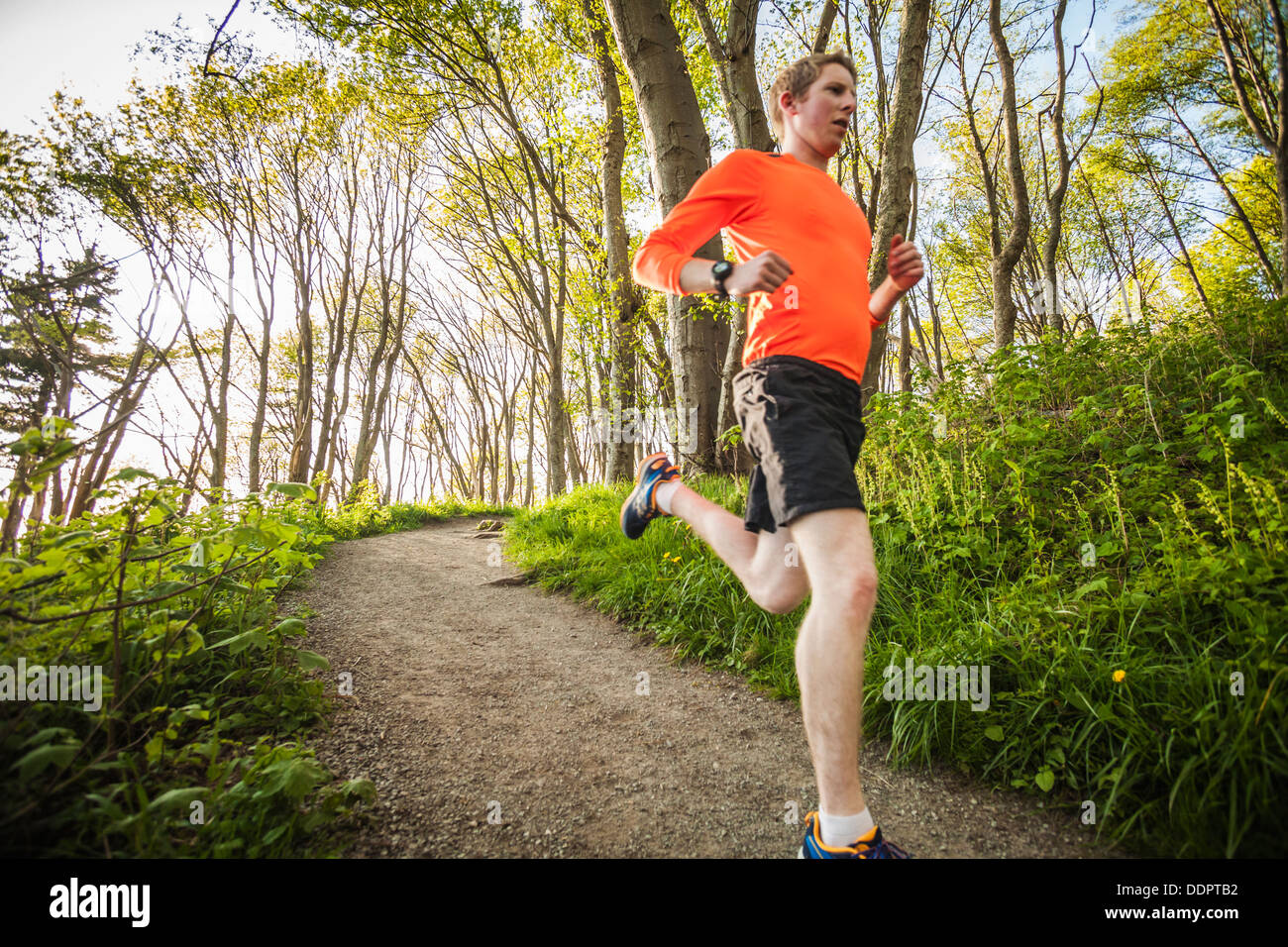 Man through trees hi-res stock photography and images - Alamy