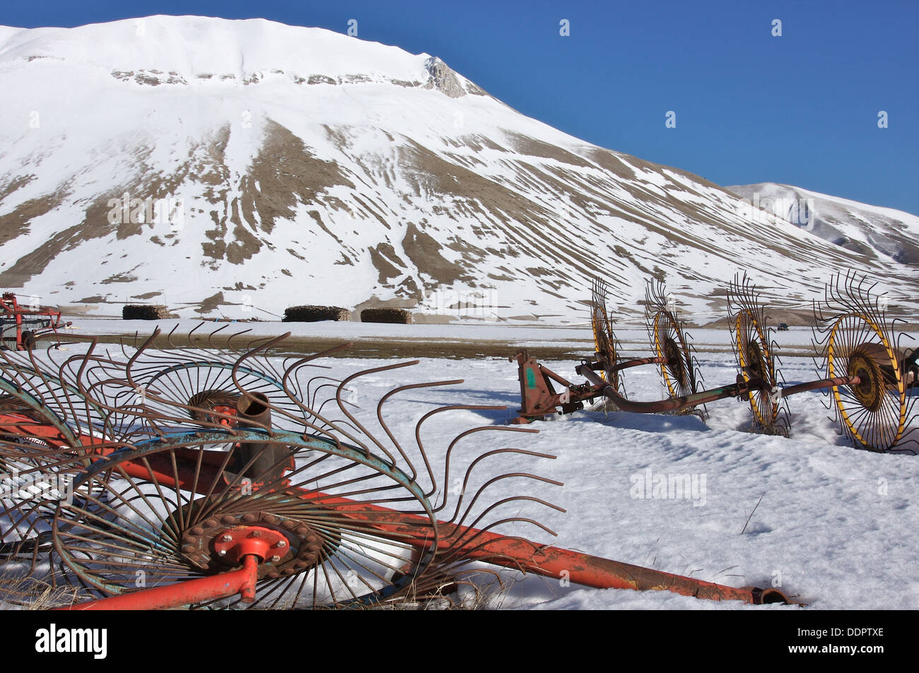 Hay in the making hi-res stock photography and images - Alamy