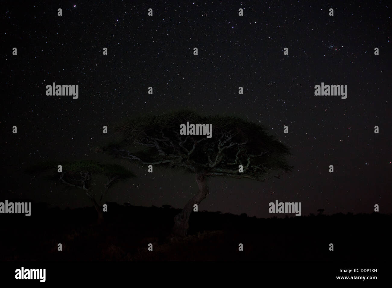 Faint star hi-res stock photography and images - Alamy