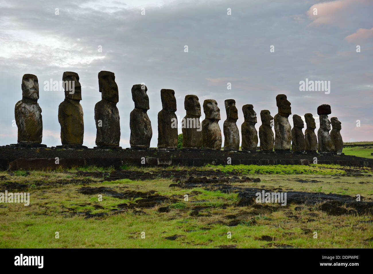 Moai monolithic human figures carved by the Rapa Nui on Easter Island ...
