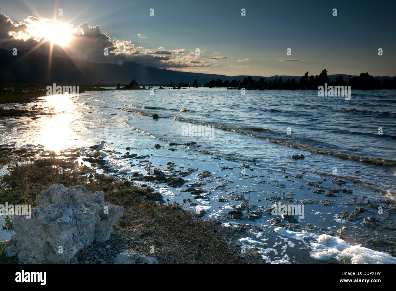 Looming waves hi-res stock photography and images - Alamy