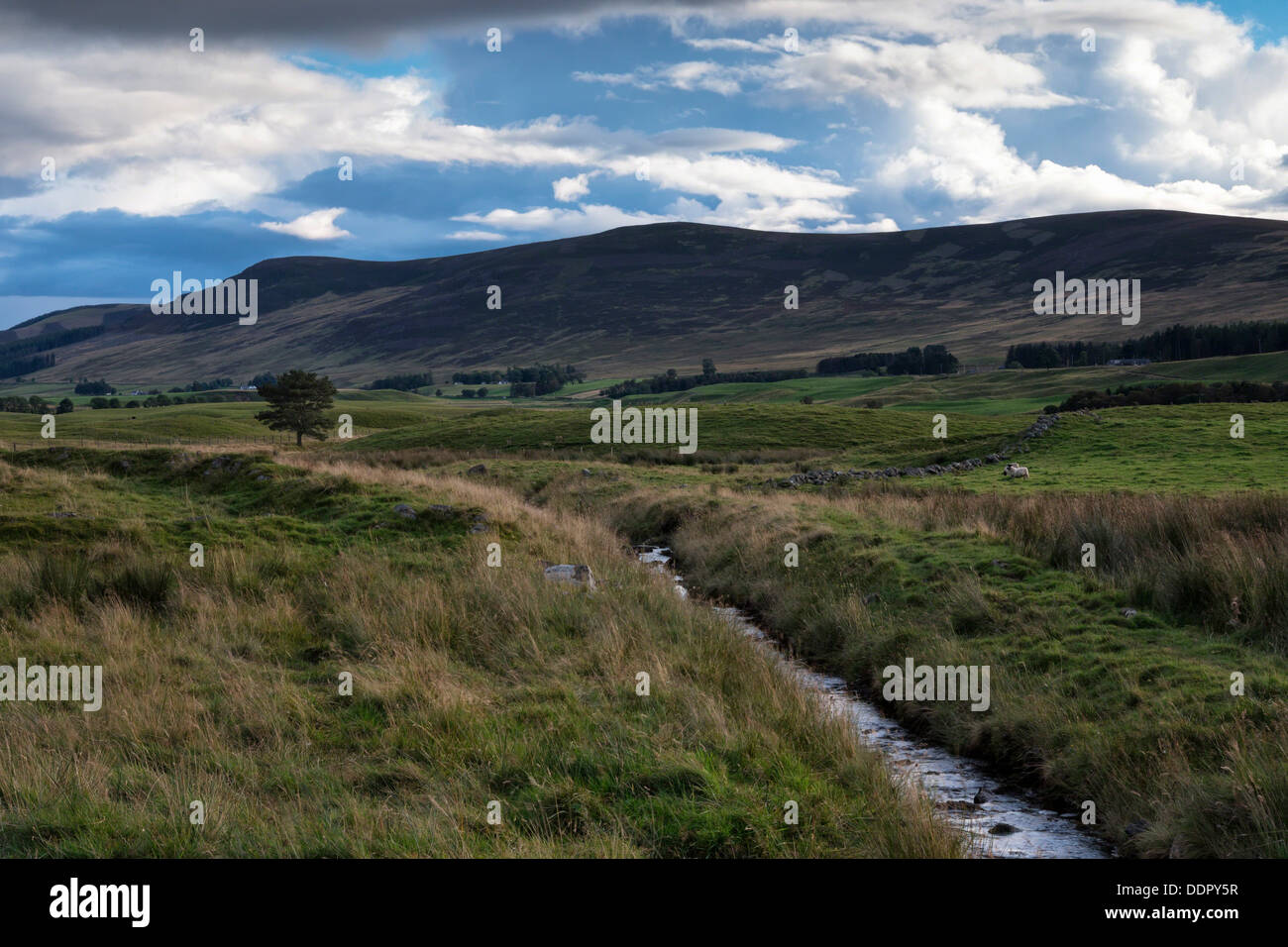 Angus glen clova hi-res stock photography and images - Alamy