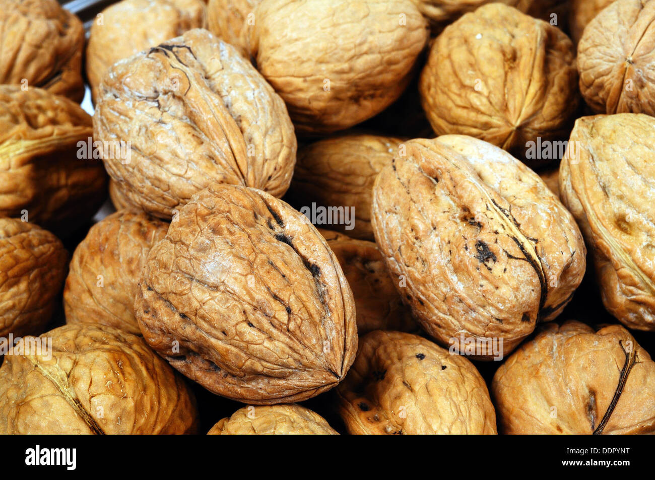 Walnuts in their shells hi-res stock photography and images - Alamy
