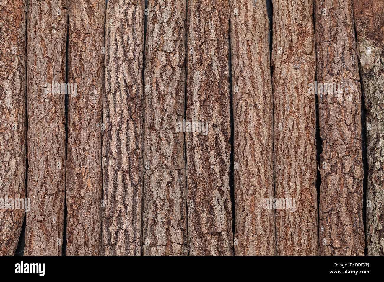 Logs wall texture hi-res stock photography and images - Alamy